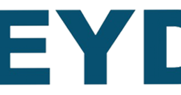 leydenindia - Electrical Home Protection and Safety ELCB